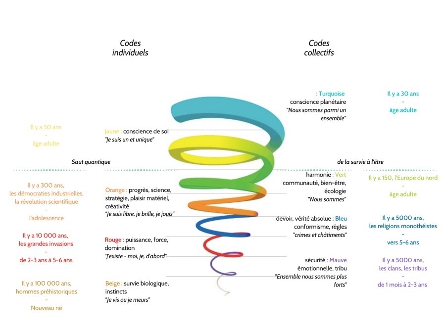 Différentes Étapes de la Spirale Dynamique - Stéphane Vigier-Guyomar